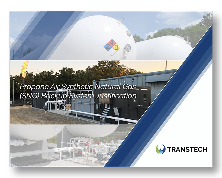 FREE: SNG Backup System Justification Overview | TransTech Energy